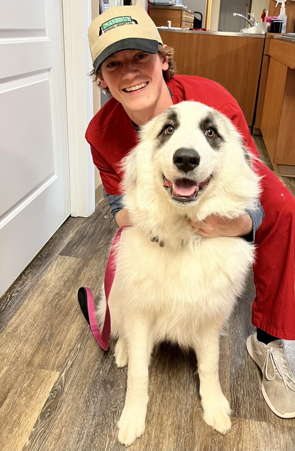 Best Vet Hospital In Columbus, GA 2nd Avenue Animal Hospital