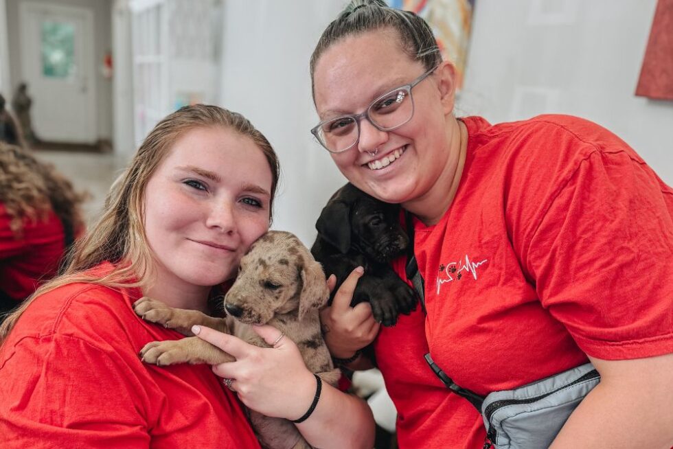 Columbus, GA 31904 Veterinary Services | 2nd Avenue Animal Hospital